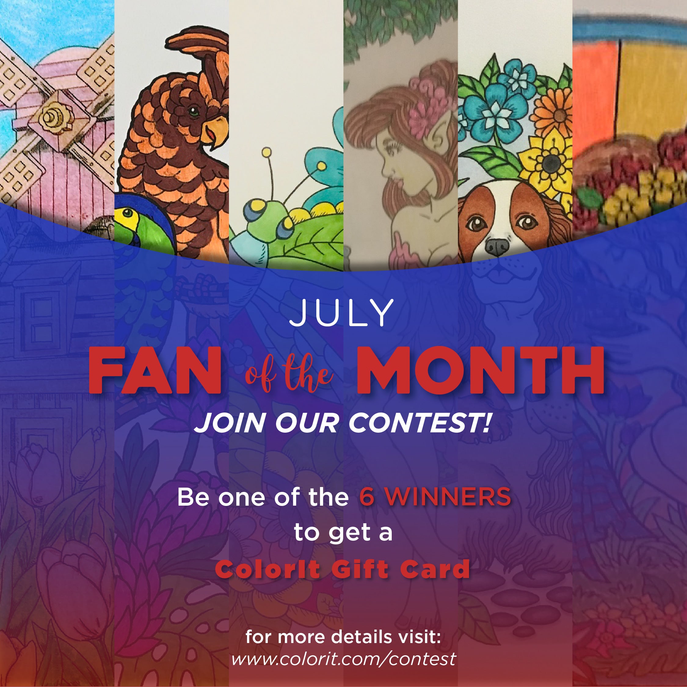 July Fan of the Month Contest – ColorIt