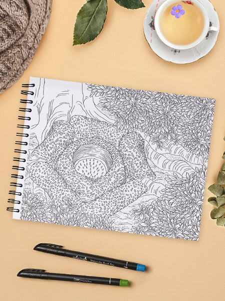 coloring pages bliss