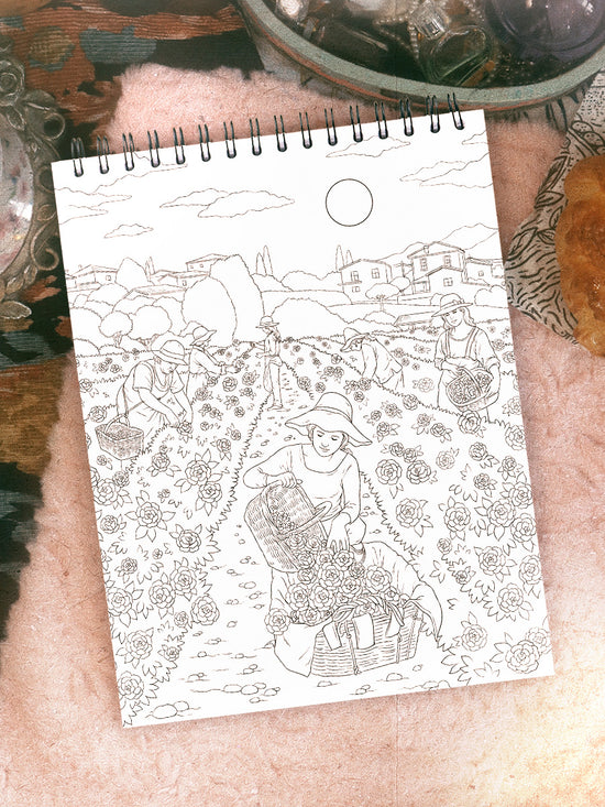 ColorIt France Travel Coloring Book for Adults