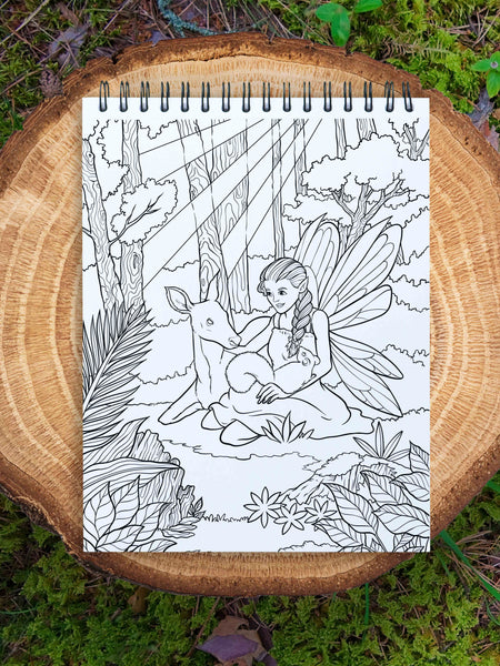 adult coloring book fairies