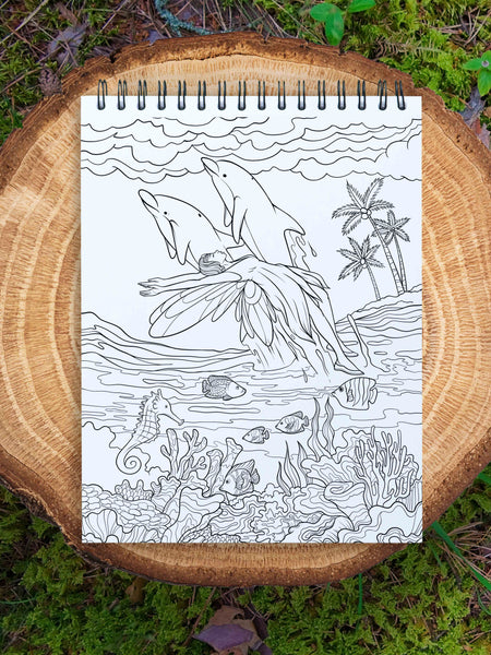 adult coloring book fairies