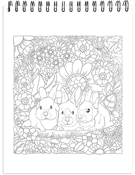 simple nature coloring book