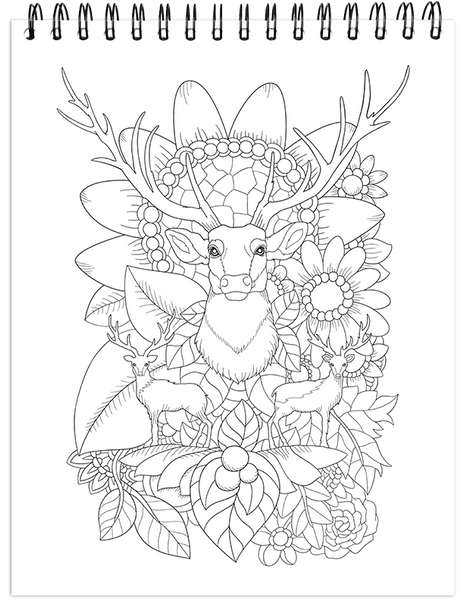 adult coloring book nature